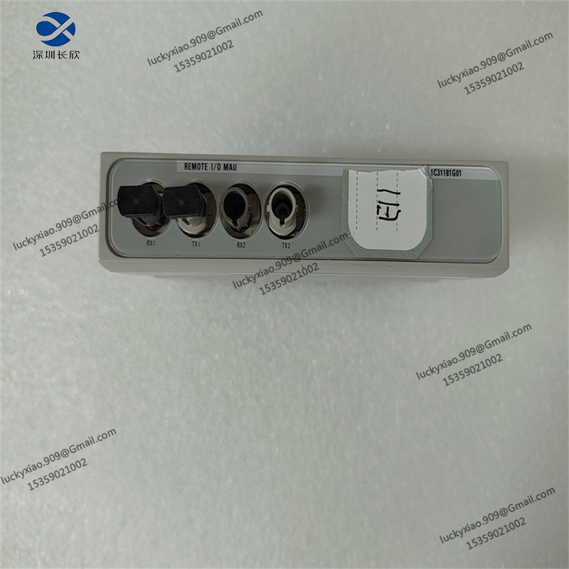 EMERSON 1C31181G01 Ovation system I/O module - Changxin Automation1